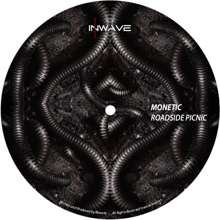 Roadside Picnic | Monetic | Inwave