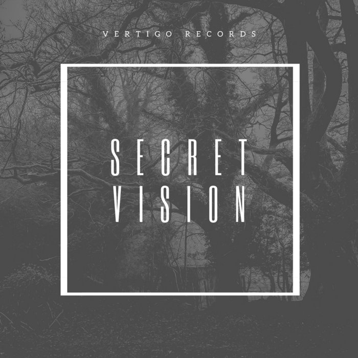 Secret Vision | Vertigo Records