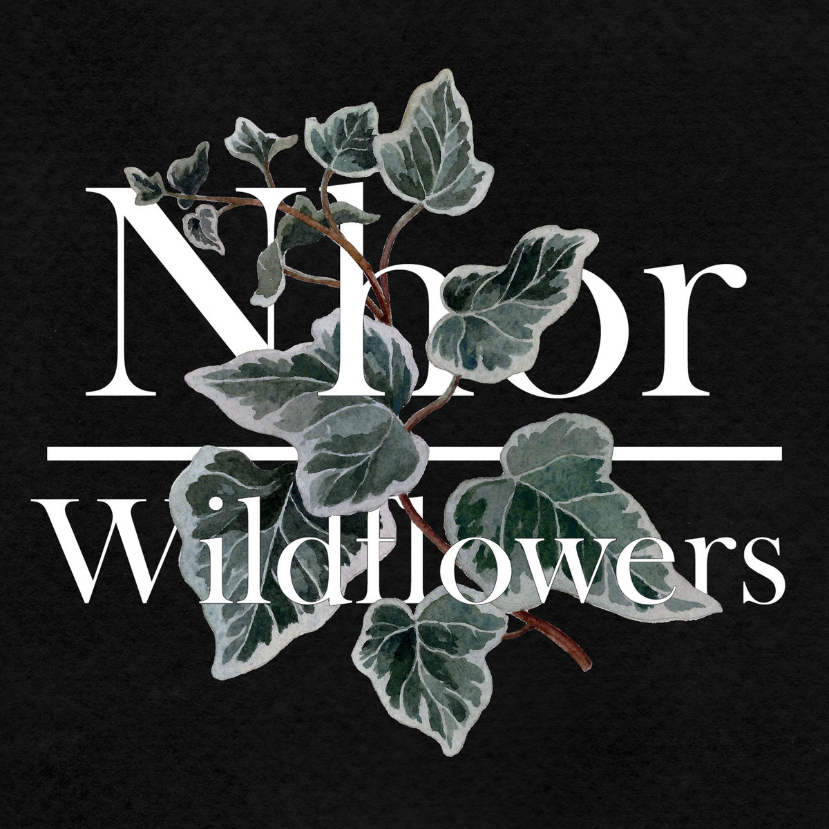 Wildflowers: Autumn | Nhor