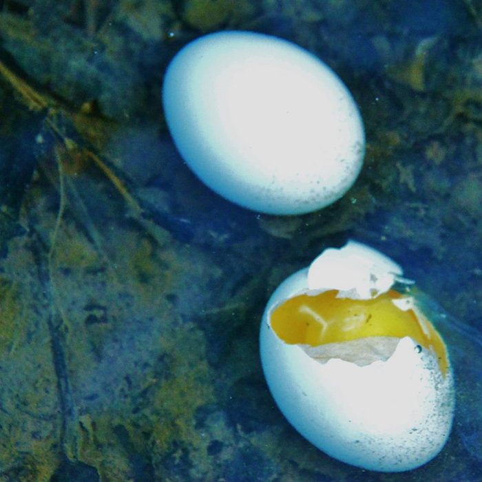 Cast A Net | Boister