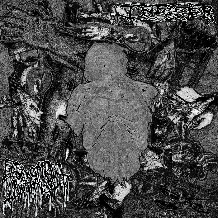 Split with Infester | Serotonin Leakage