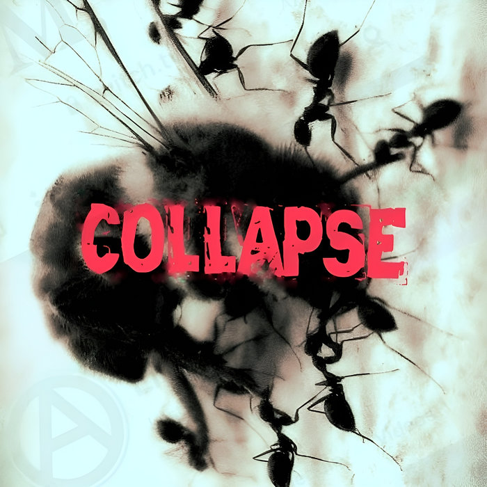 COLLAPSE (EP) | Virtual Bird