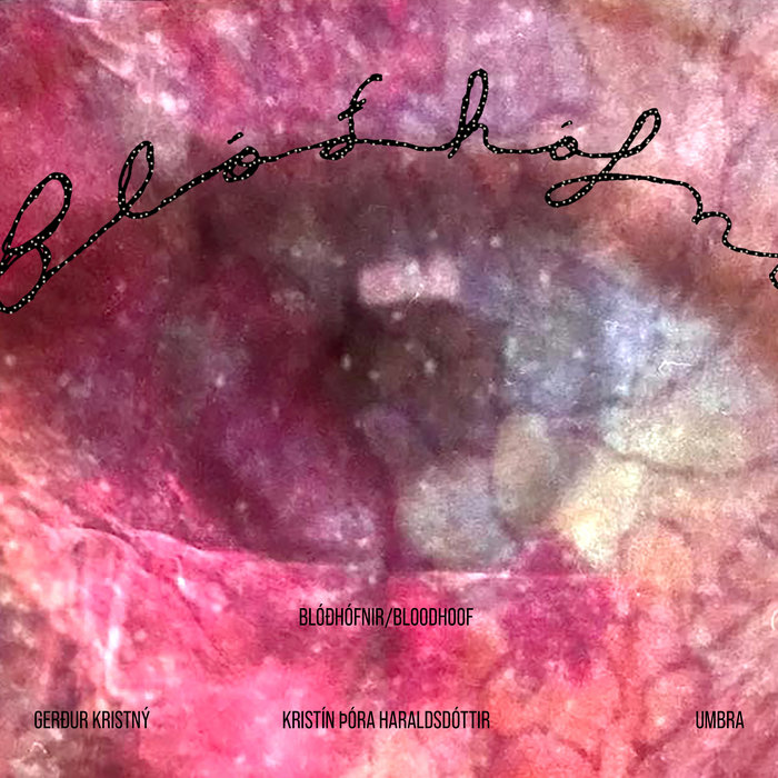 Blóðhófnir | Kristín Þóra Haraldsdóttir, Umbra ensemble, Lilja Dögg ...