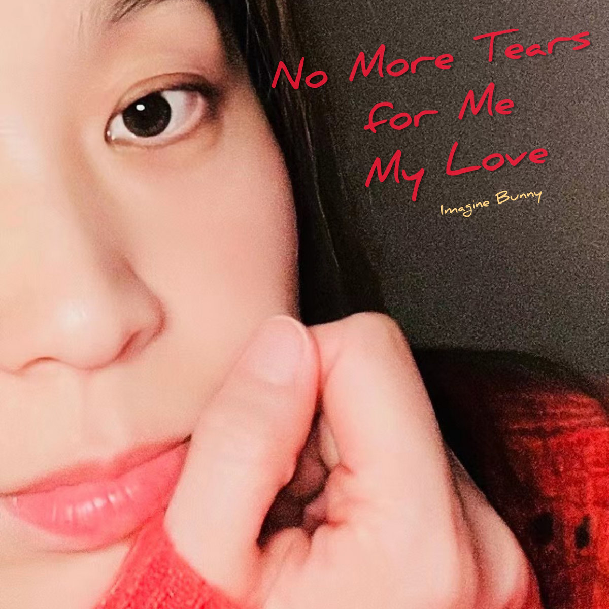 No More Tears for Me My Love | Imagine Bunny 幻想邦尼