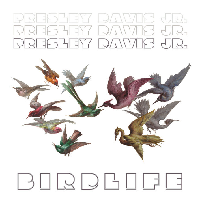 Birdlife | Presley Davis Jr.