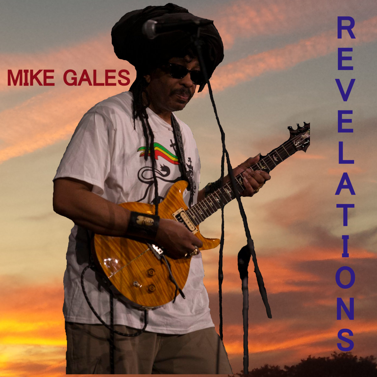 Revelations | Mike Gales