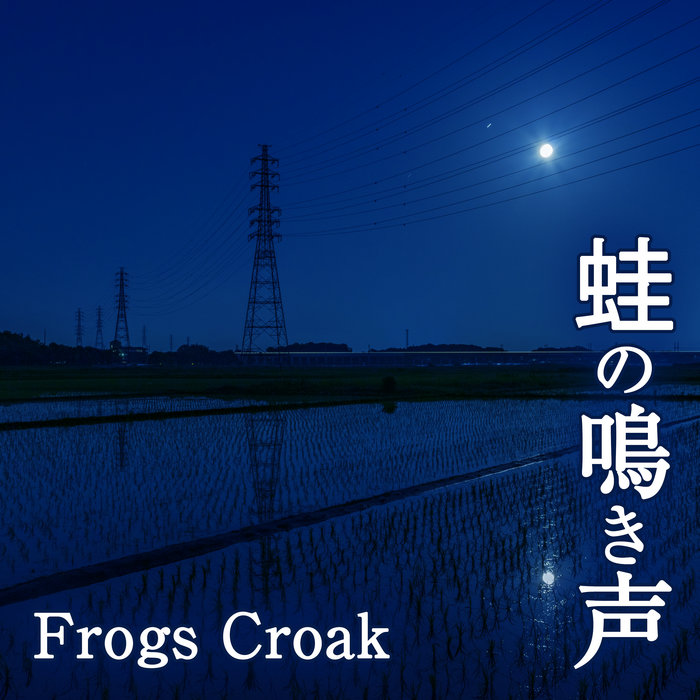Frogs Croak | Japanese Nature Sounds