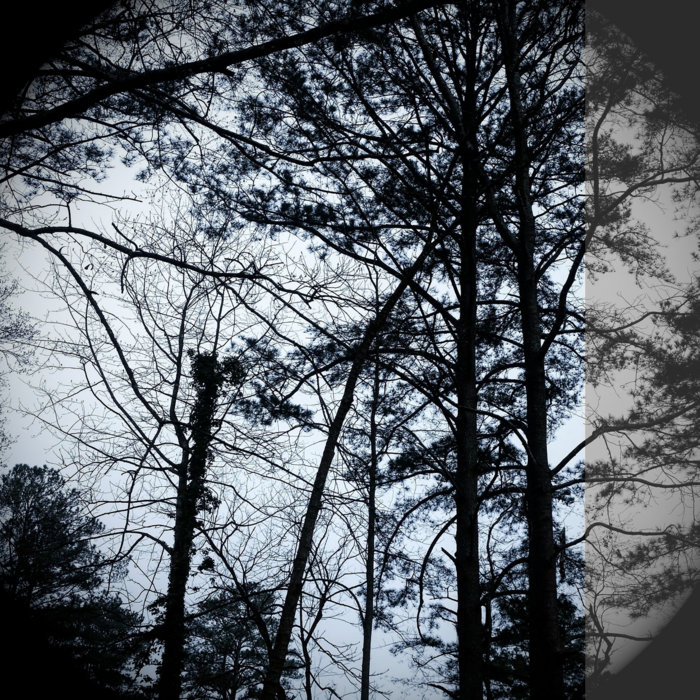 Low Hopes | Pure Fault