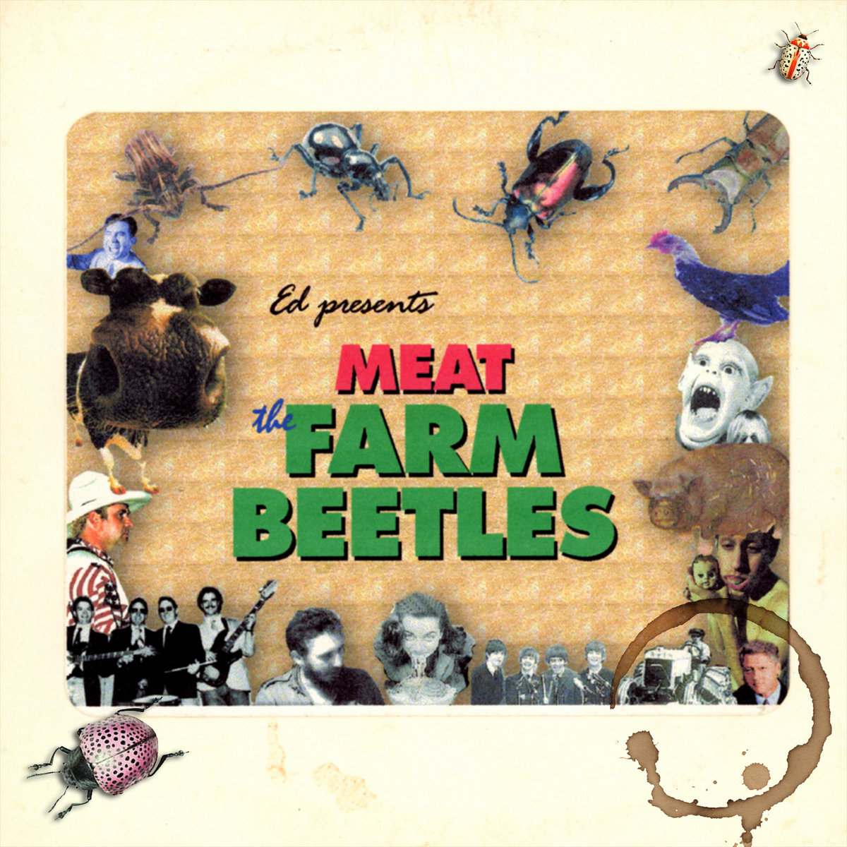 Meat The Farm Beetles | Terry Scott Taylor