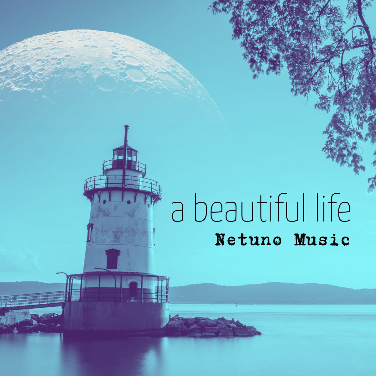 A Beautiful Life (long version) | Netuno Soundtracks