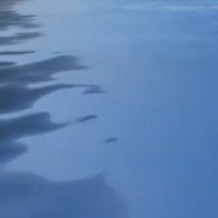 Tidal Shift | DreamHollow4219