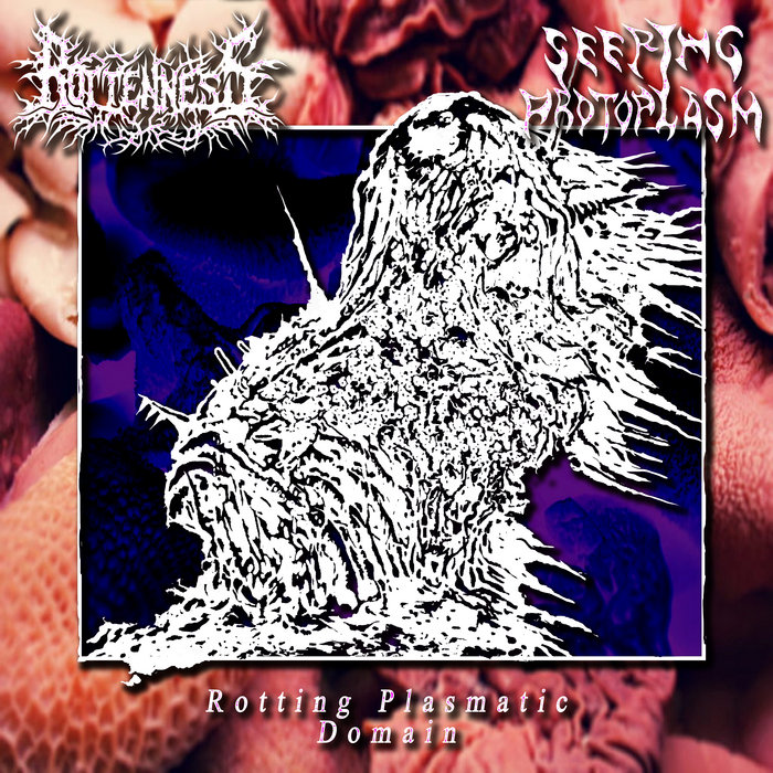 Rotting Plasmatic Domain [Split E.P.] | Rottenness/Seeping Protoplasm ...