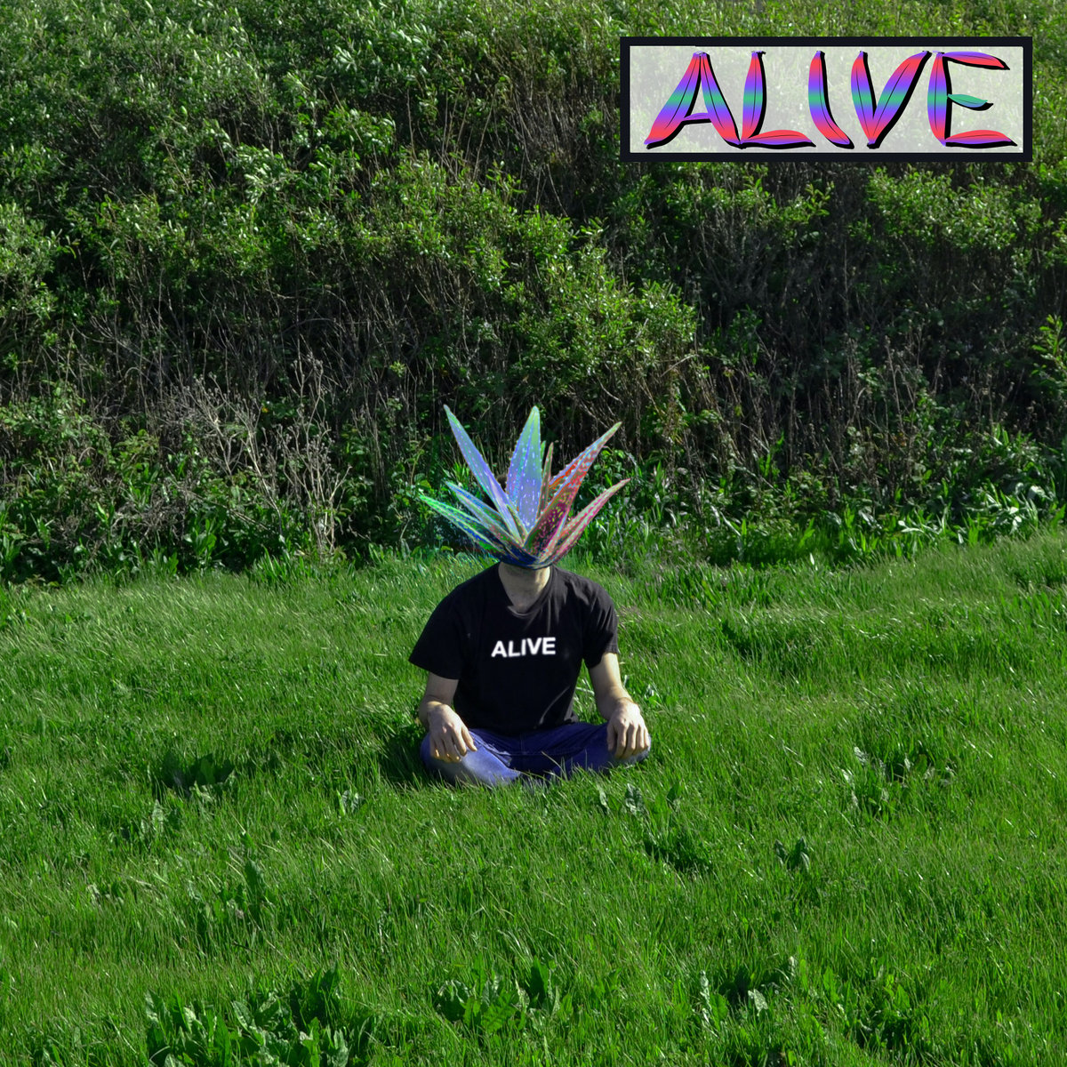 Alive | Nick Tasker