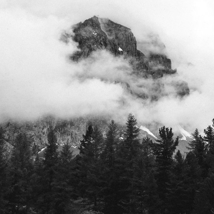 Hidden | Human Is Alive