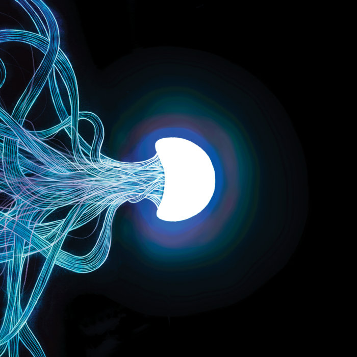 Elephant Tree | Elephant Tree