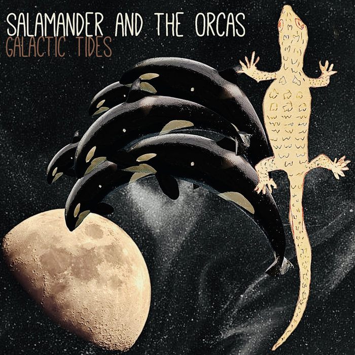 Galactic Tides | Salamander and the Orcas | DaP Station
