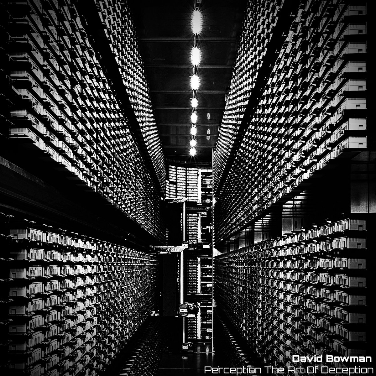 Perception The Art Of Deception | David Bowman