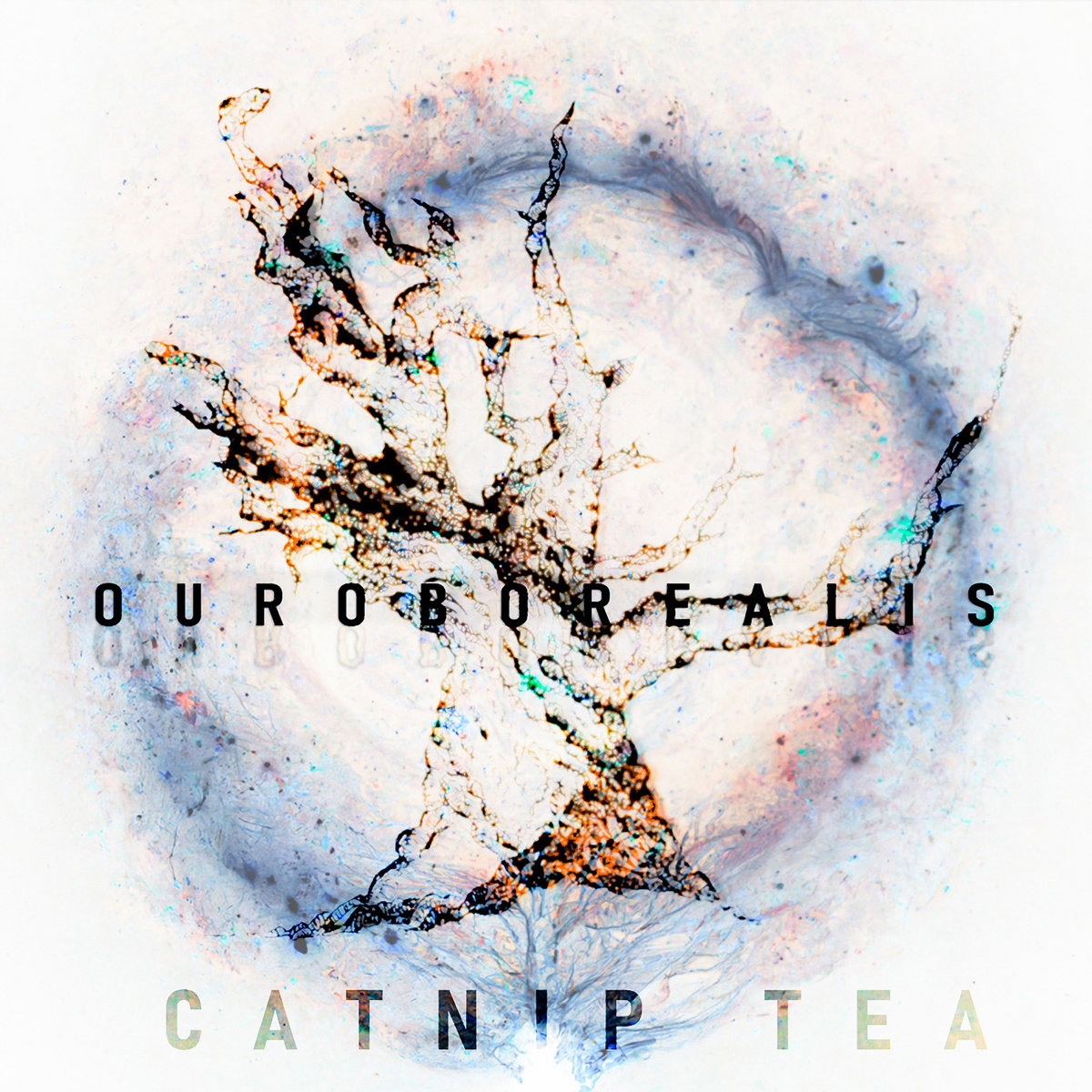 Ouroborealis | CatNip Tea