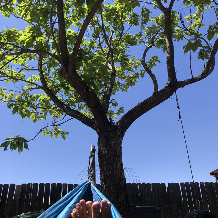 re-sound | maria mccullough & Jason McInnes | maria mccullough