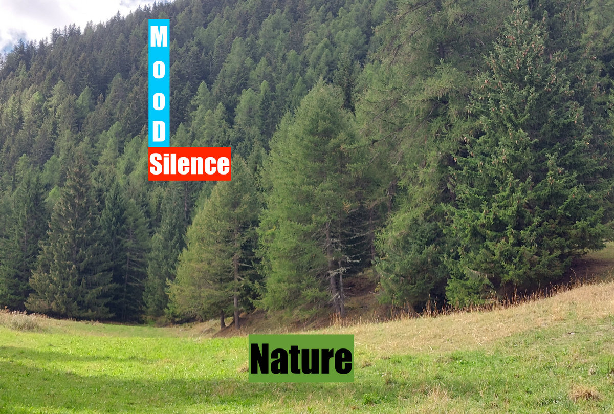 Nature | Mood silence