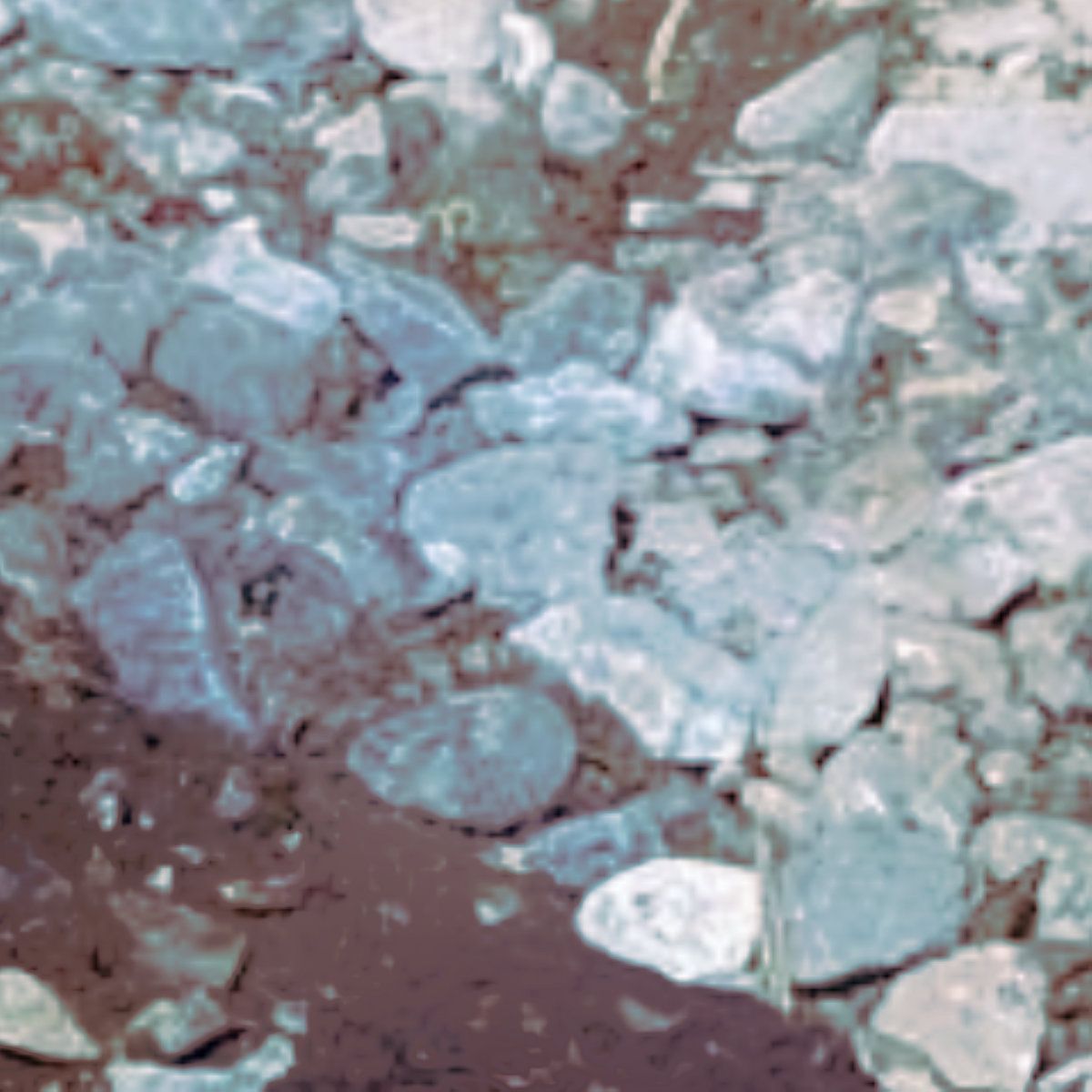 garotte | creepybugs