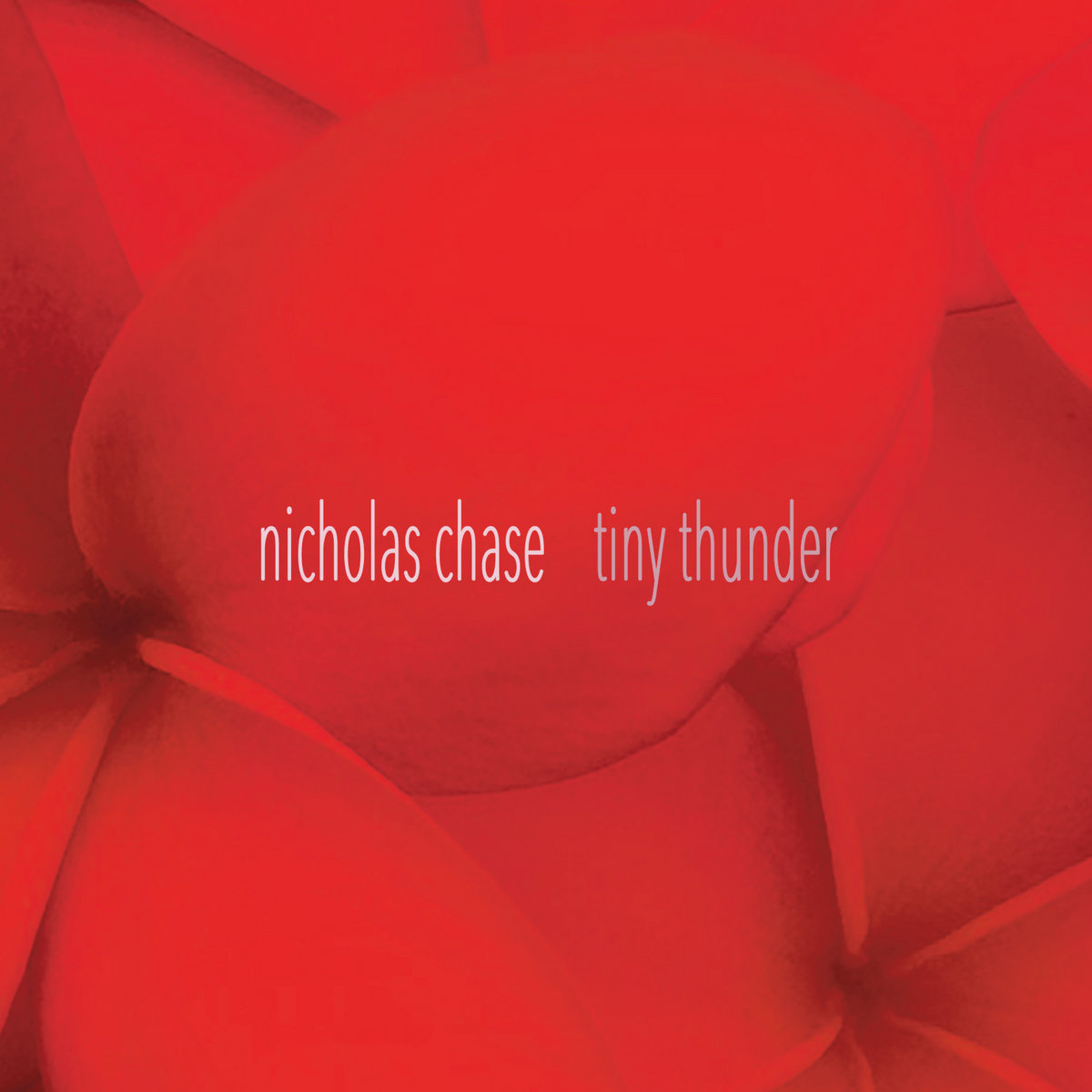 Tiny Thunder | Nicholas Chase