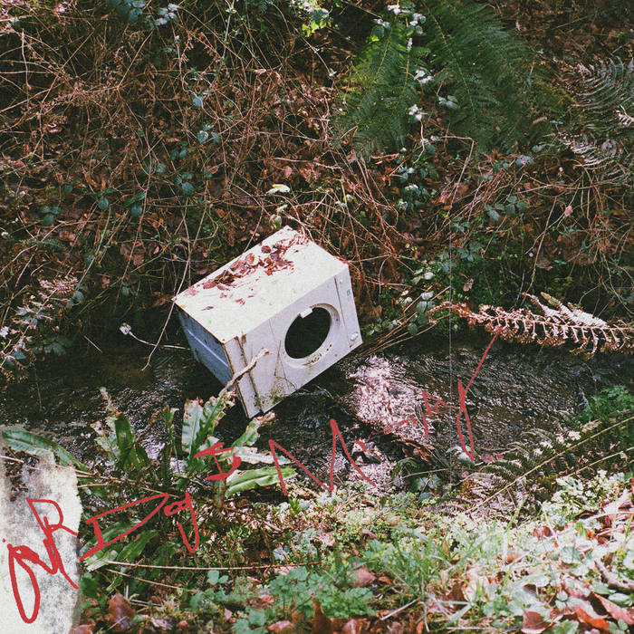 OURDOGISMISSING | Ivy Lab