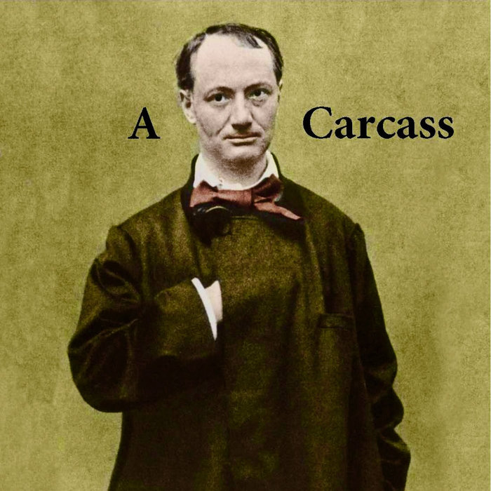 A Carcass | Michael Perret