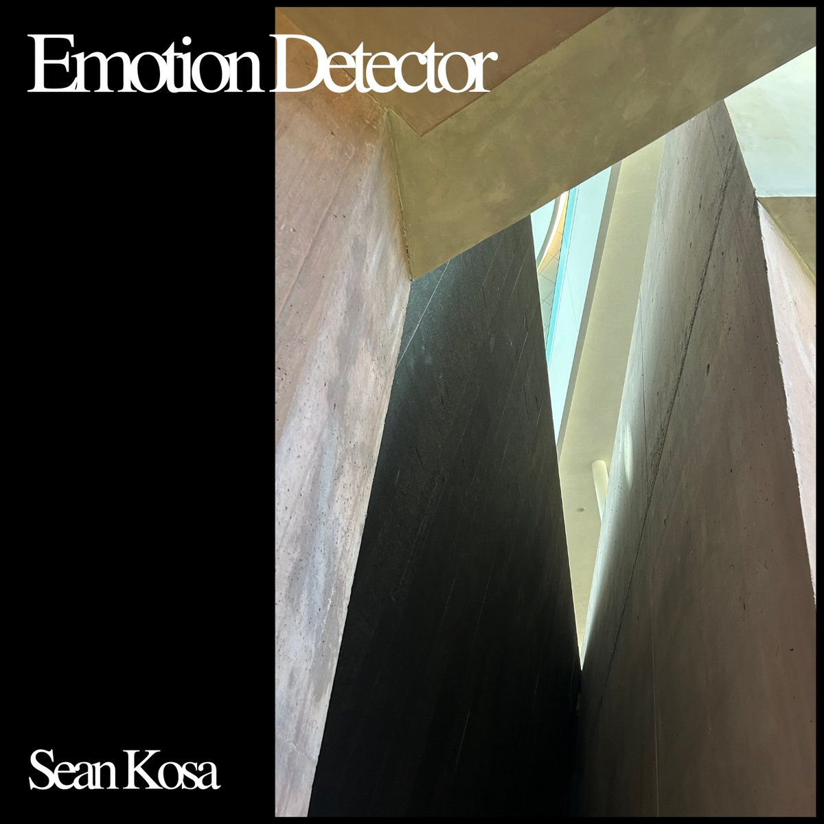 Emotion Detector | Sean Kosa | Facecontrol Audio Industries