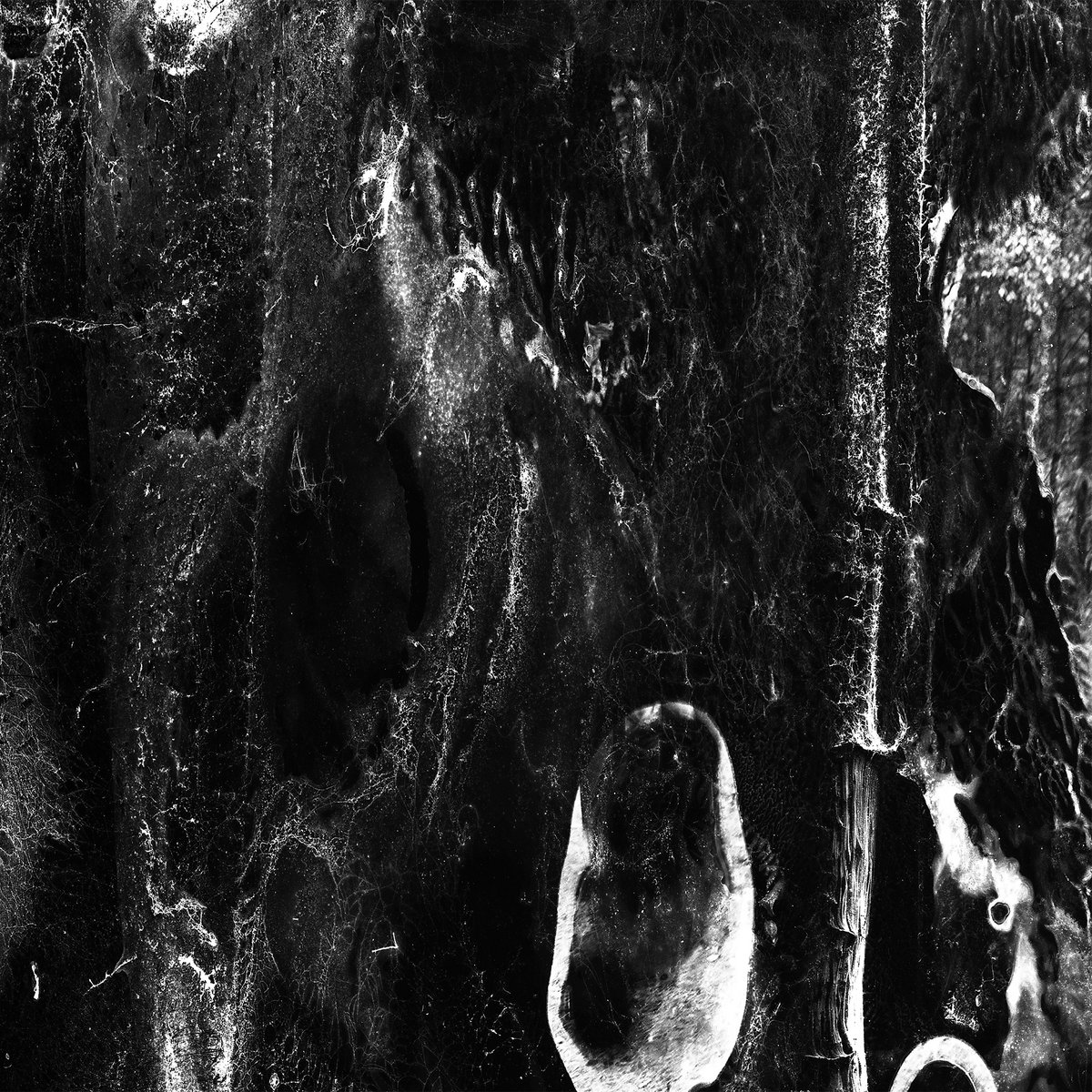 Under Progress | Norbert Haftek