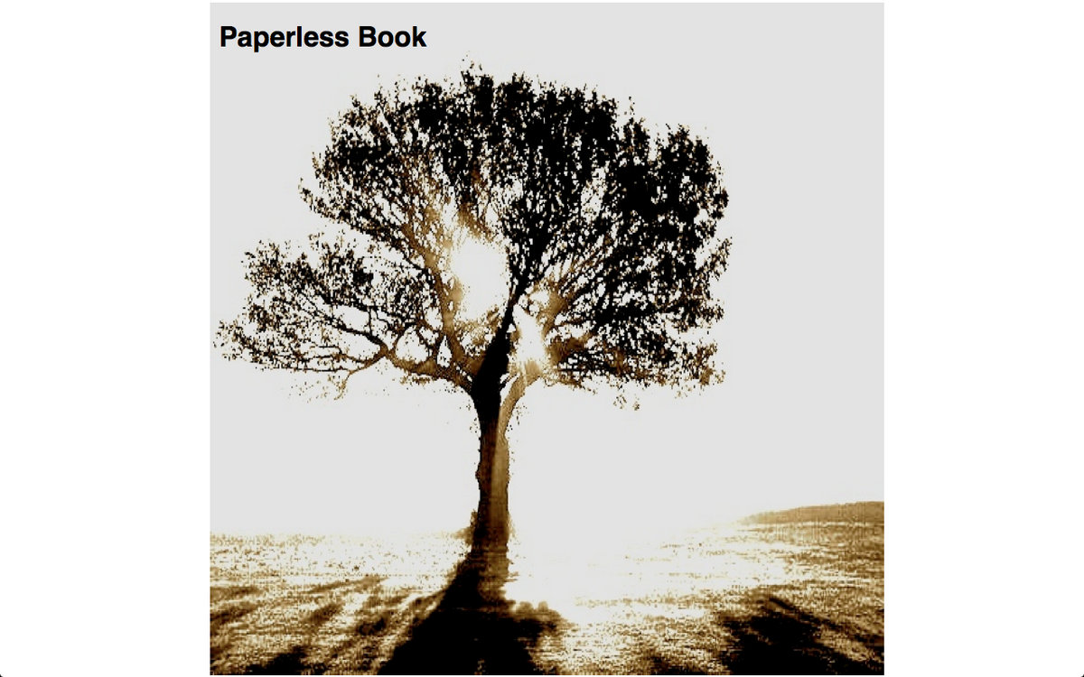 Paperless Book | Inkfields