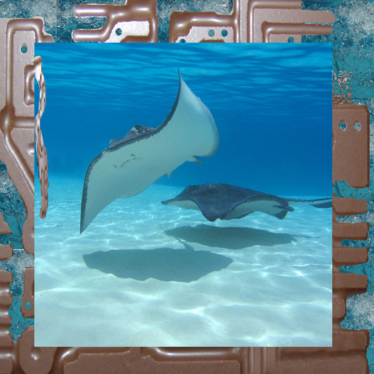 REREX 1 | James Ferraro