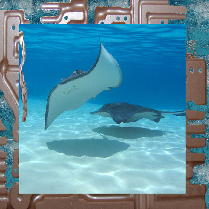 REREX 1 | James Ferraro