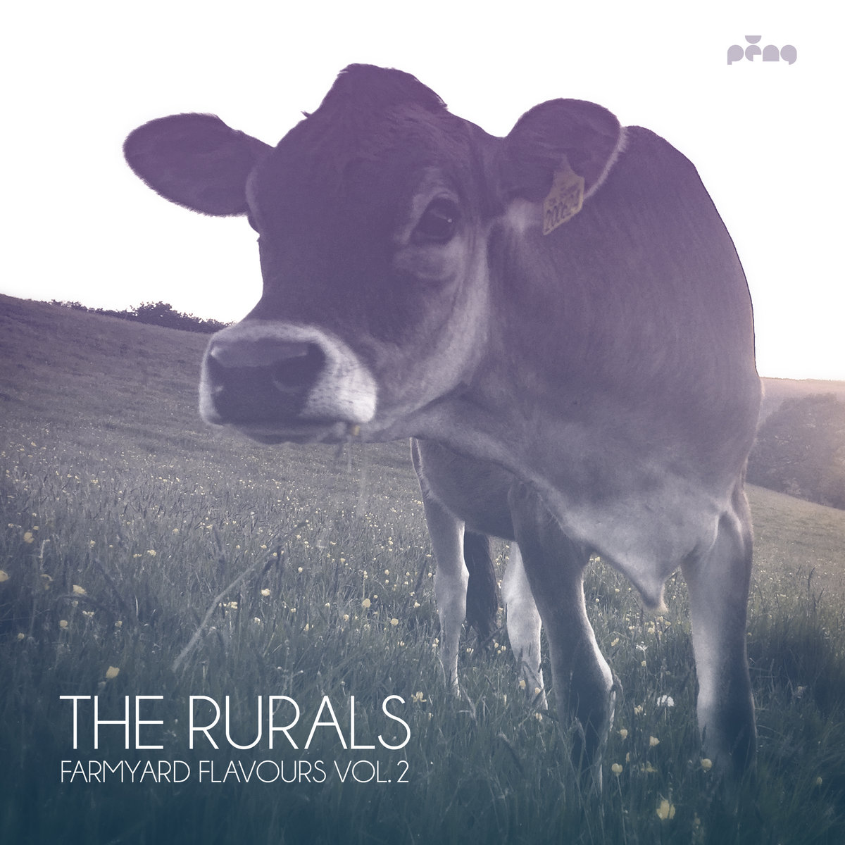 Farmyard Flavours Vol' 2 | The Rurals