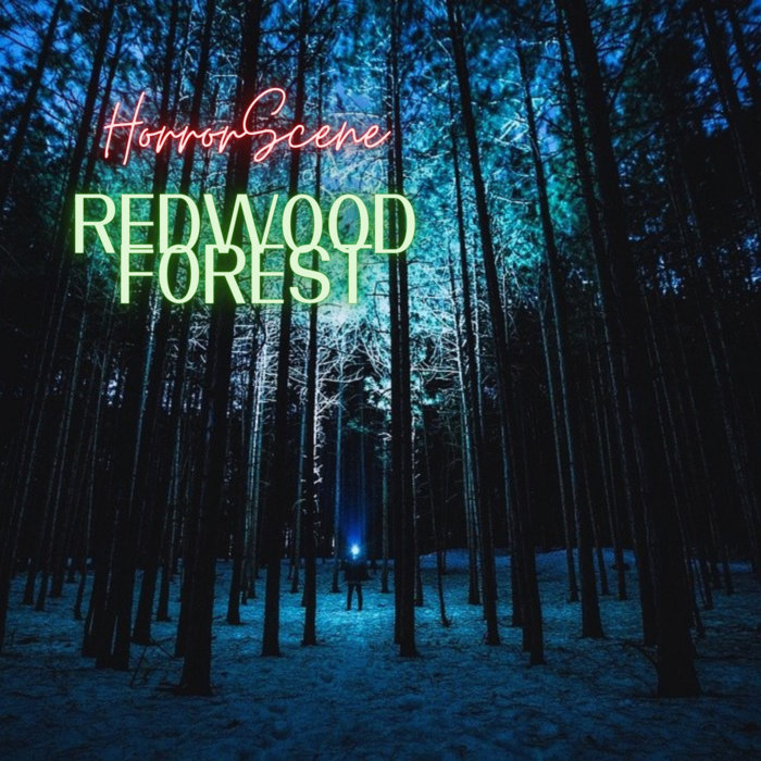 Redwood Forest | HorrorScene