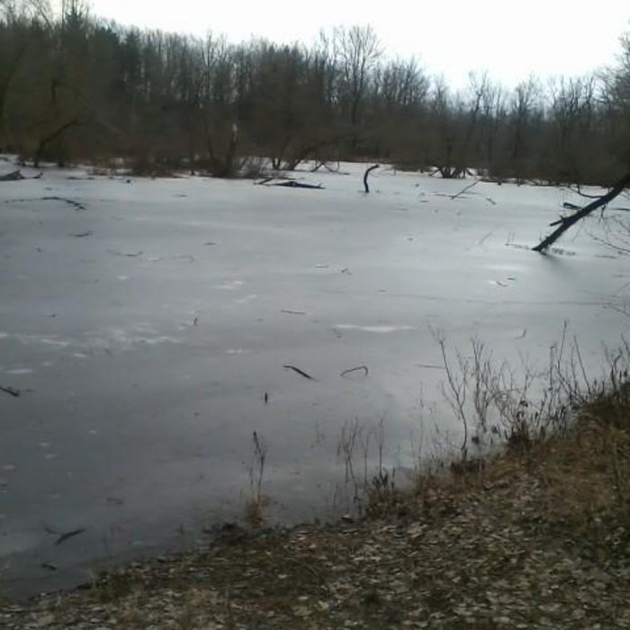 The Longest Winter | taron williams