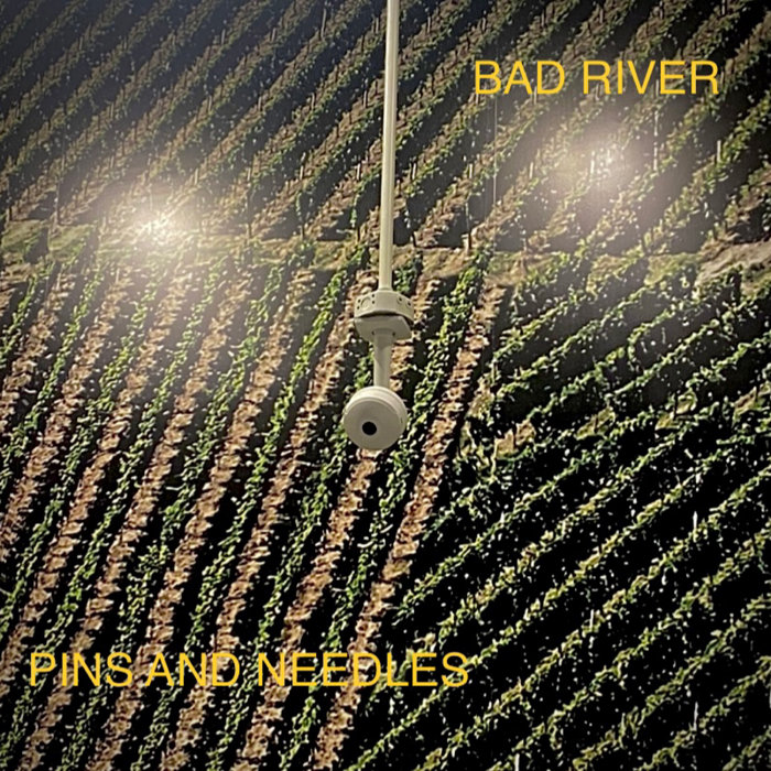 Pins and Needles | Bad River