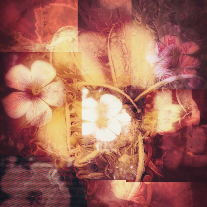 In Eternity | ZOIR | Zoir