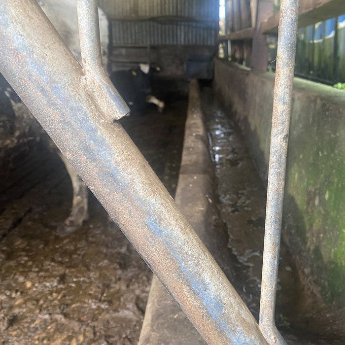 Dairy Farms | kayla