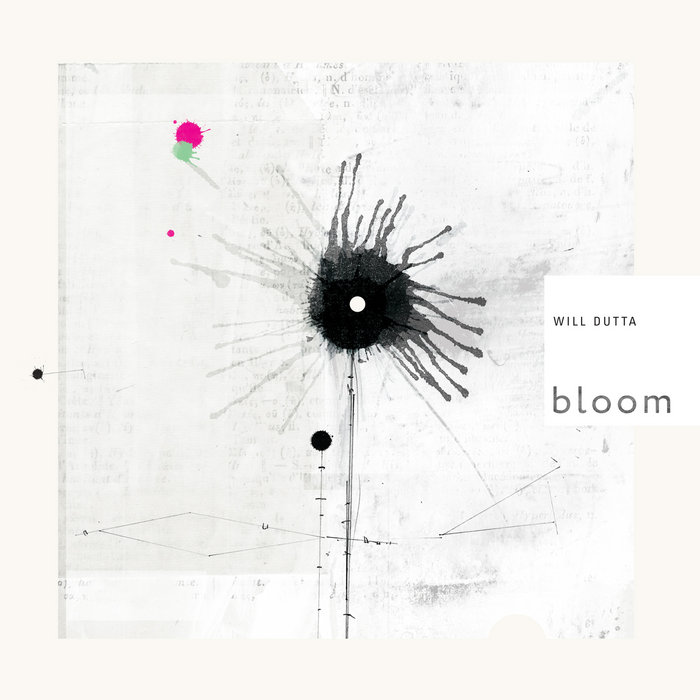 bloom | Will Dutta