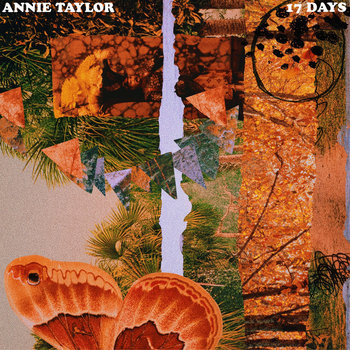 Music | Annie Taylor