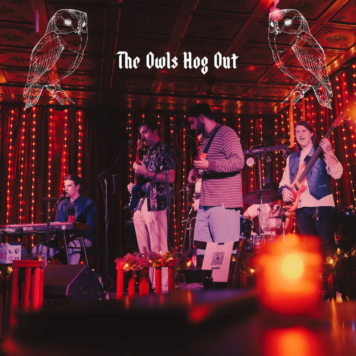 The Owls Hog Out - Live | The Owls | Nick Brown