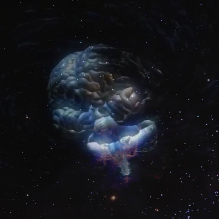 宇宙の認識 | ℍUM♥ℕIGHTM♥RE