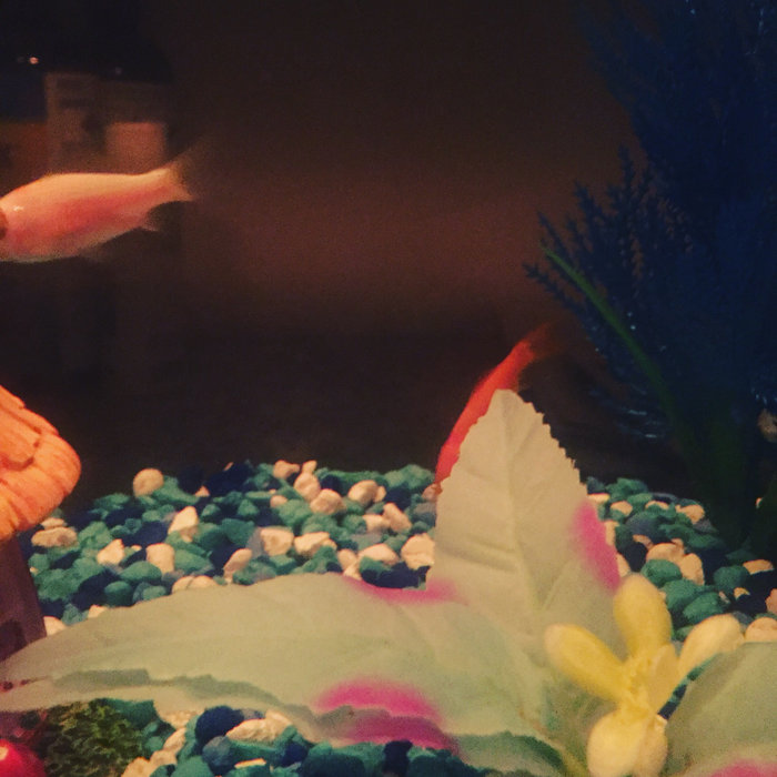 Miscellaneous | Alper Atrek