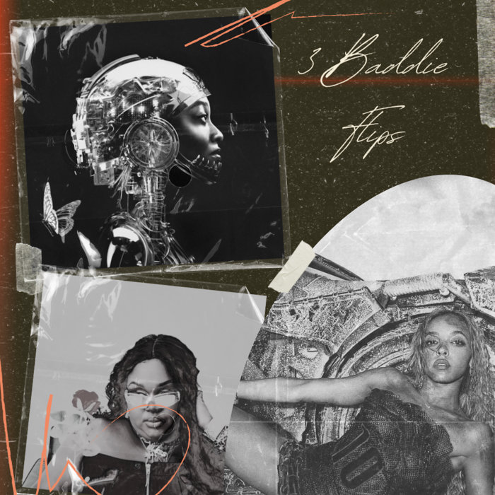 3 BADDIE FLIPS | Handsome Tiger