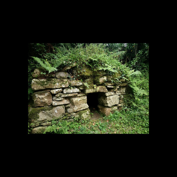 The Roots of the Mountain Ash Embrace The Stone II | Natalia Beylis