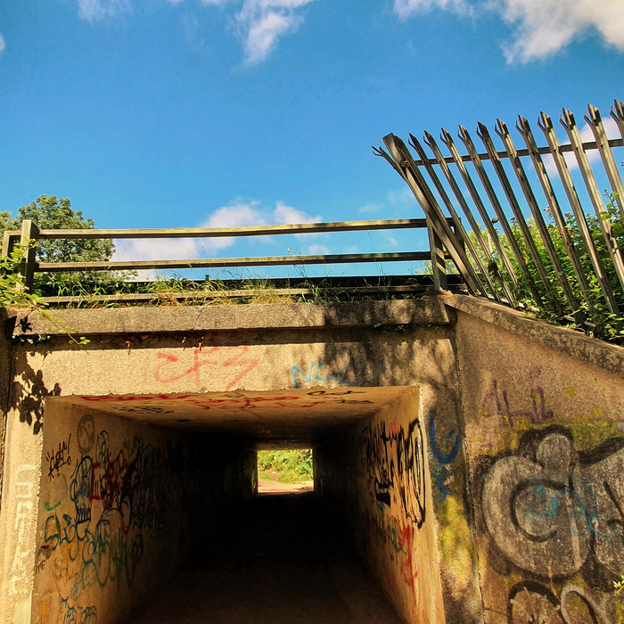 A Meeting Of The 5 Wizards On The 11th July 2005 | Martin Reed