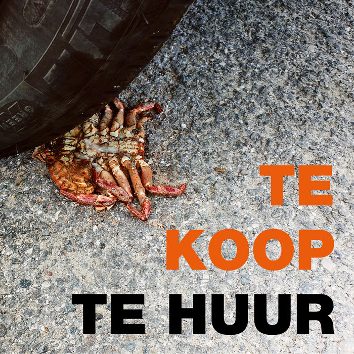 Serious | Te Koop Te Huur | TE KOOP TE HUUR