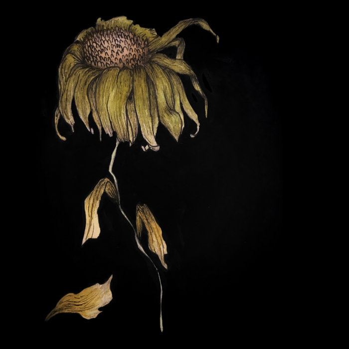 Wither | Heart Museum