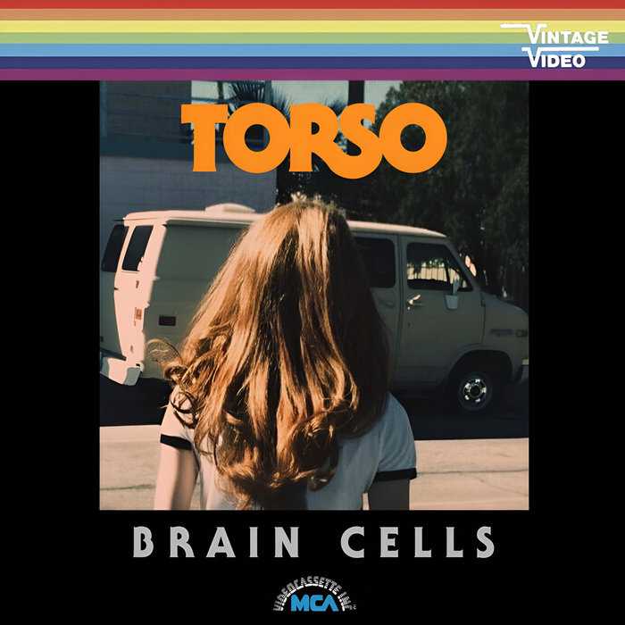 Brain Cells | TORSO